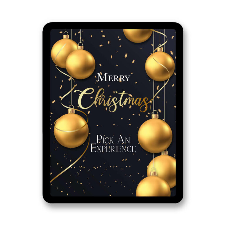 iPad Portrait Archives - BespokeBooth